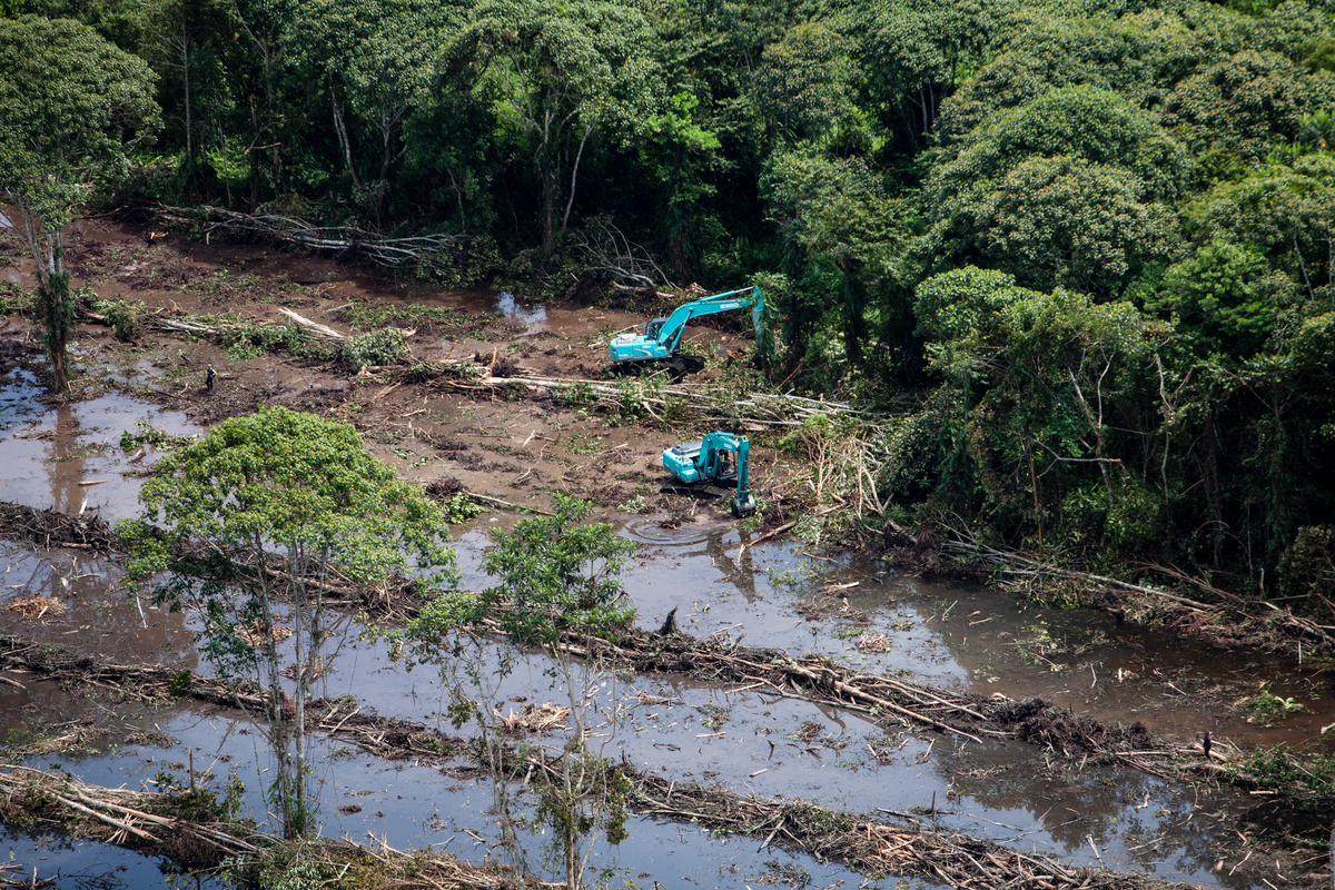 Mega Rice Project Turns Peatlands into Carbon Bomb - Situs Hijau Indonesia